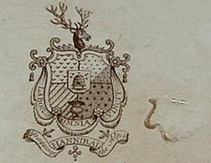 Transferware European Patterns